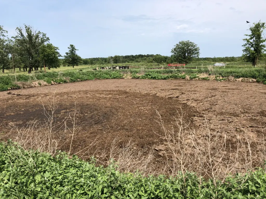 Pit Pro - Manure Management Solution | Verdesian Life Sciences