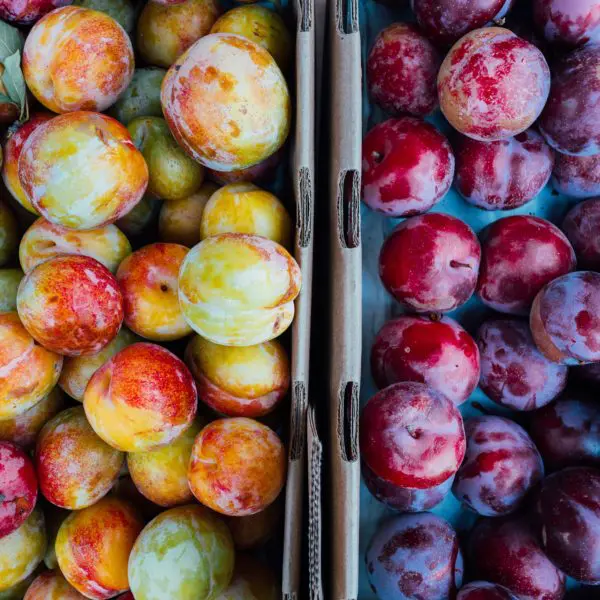 Pome/Stone Fruit - Crops | Verdesian Life Sciences