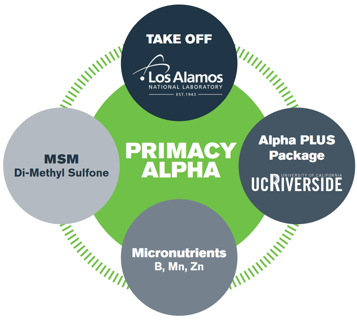 Primacy ALPHA® – Plant Biostimulant & Soil Nutrient | Verdesian